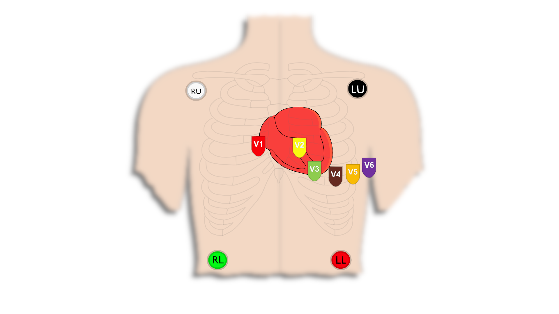 What is Electrocardiogram (ECG)? – Nursing Unraveled