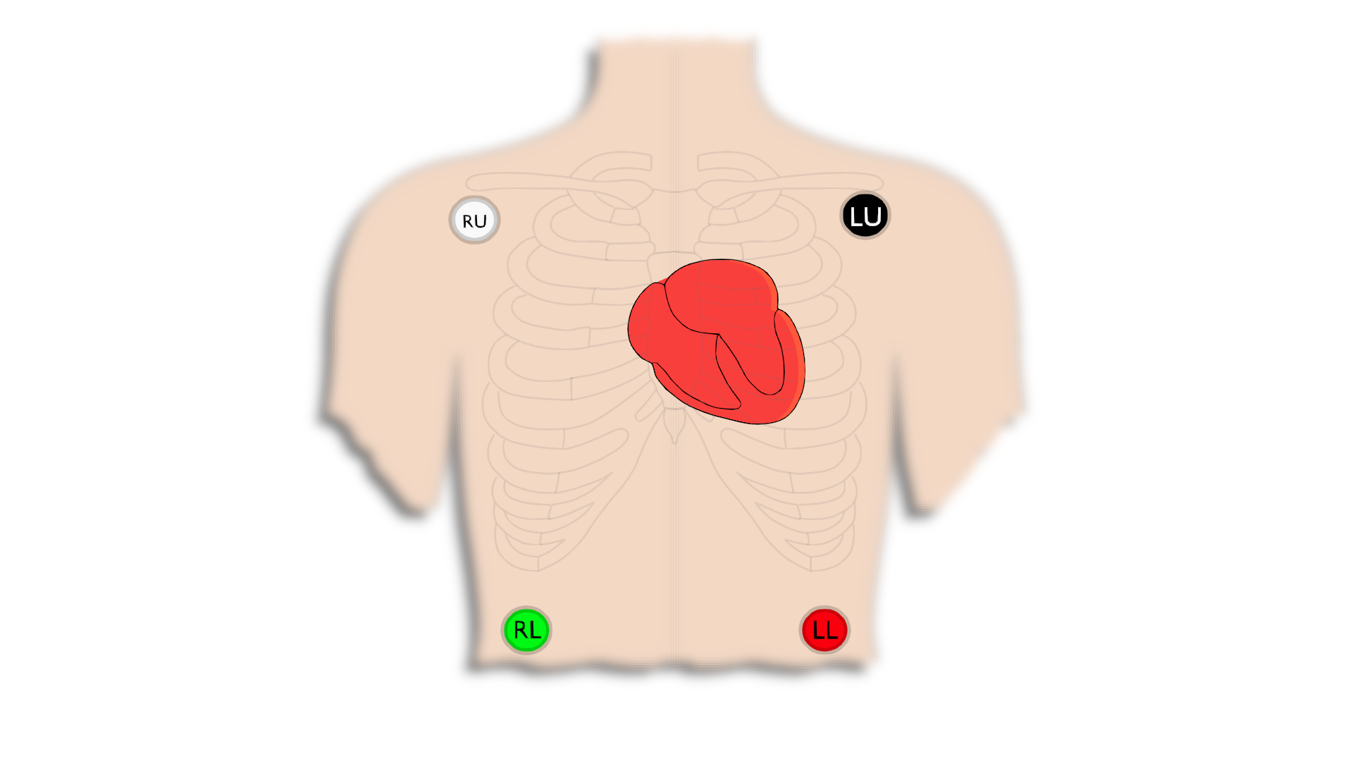 What is Electrocardiogram (ECG)? – Nursing Unraveled