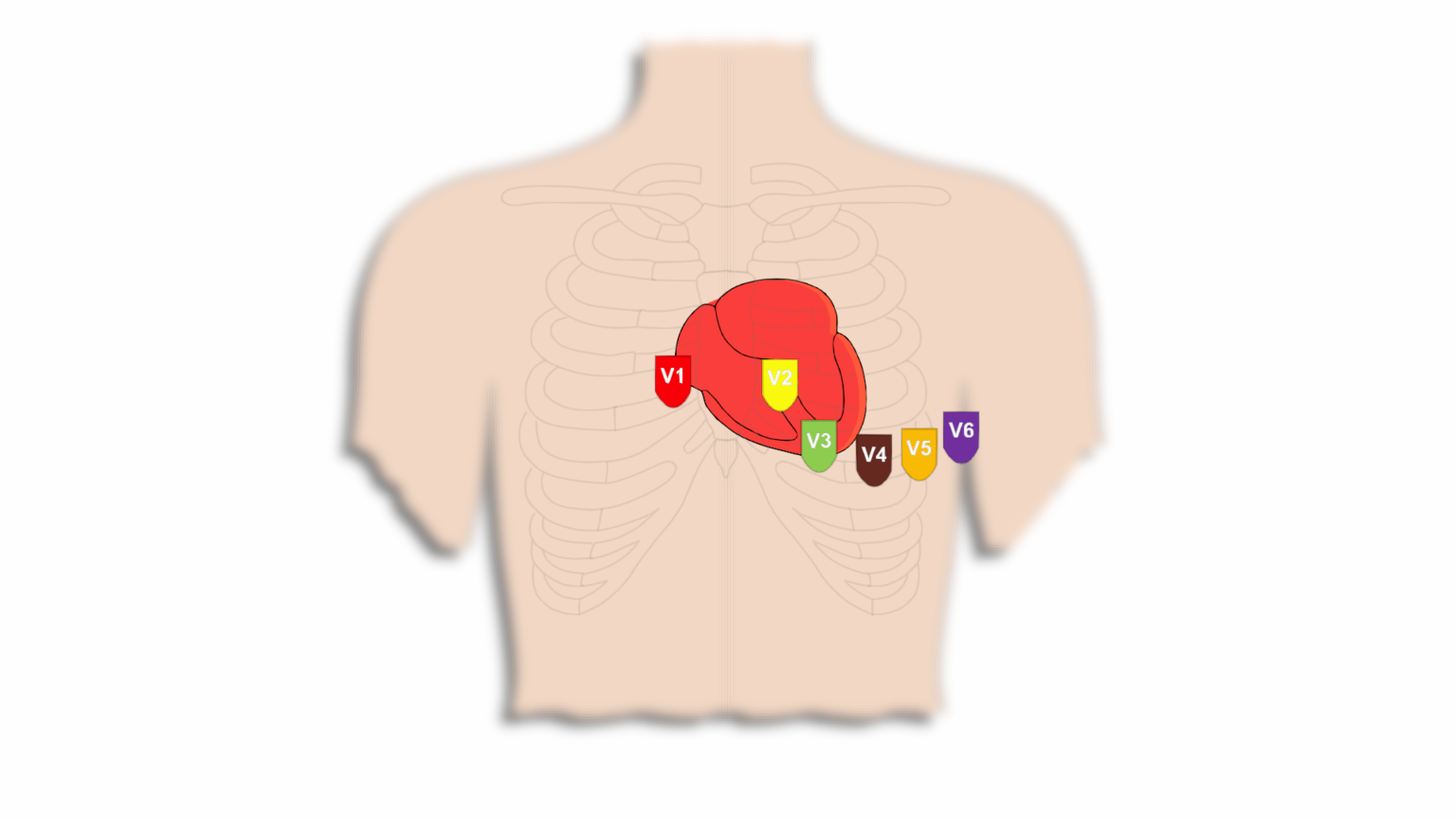 What is Electrocardiogram (ECG)? – Nursing Unraveled