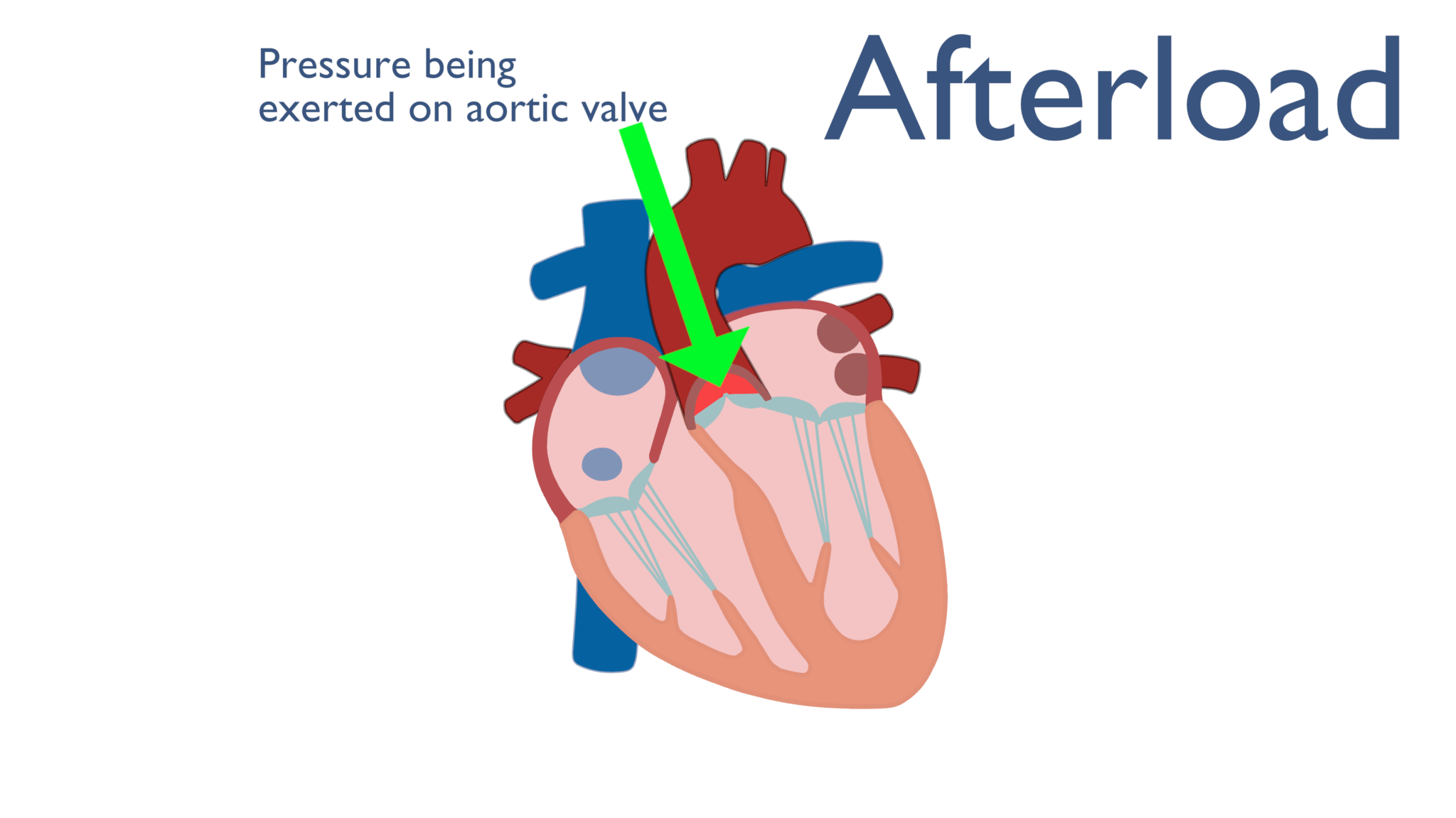 Cardiac Output – Nursing Unraveled