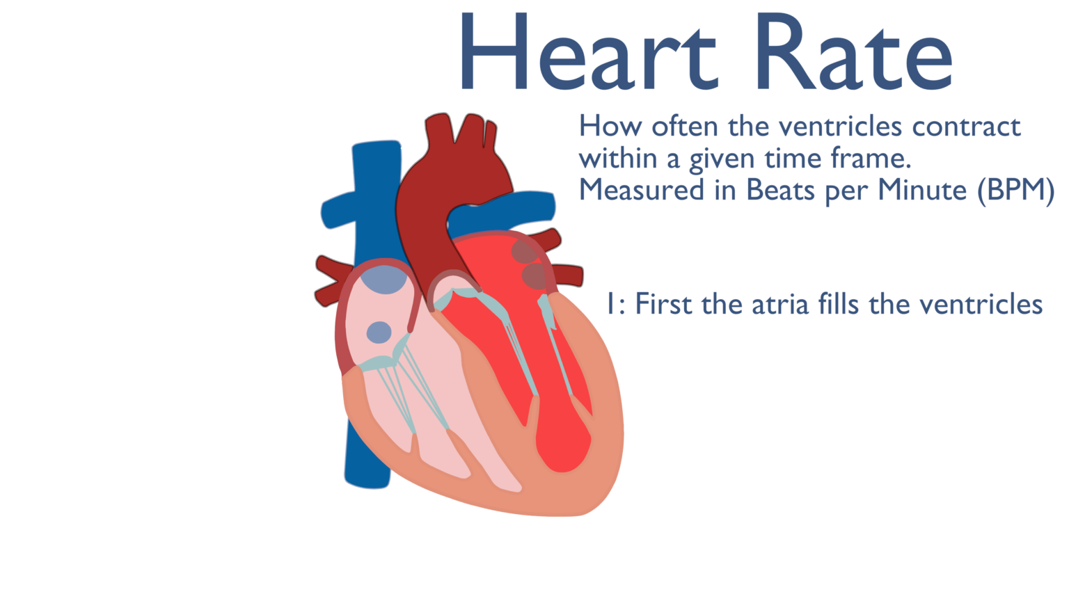 Cardiac Output – Nursing Unraveled