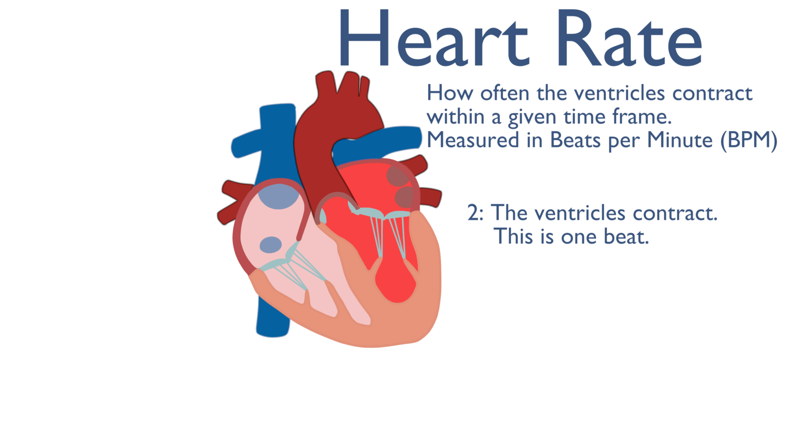 Cardiac Output – Nursing Unraveled